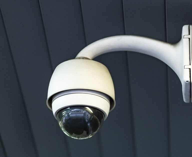 Cámaras de seguridad de 360 grados - Sistemas de videovigilancia Argos